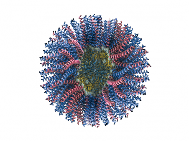 Polymer Self-Assembly | Craig Hawker Group | UC Santa Barbara